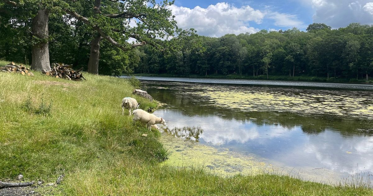 Compton Verney - Ramblers